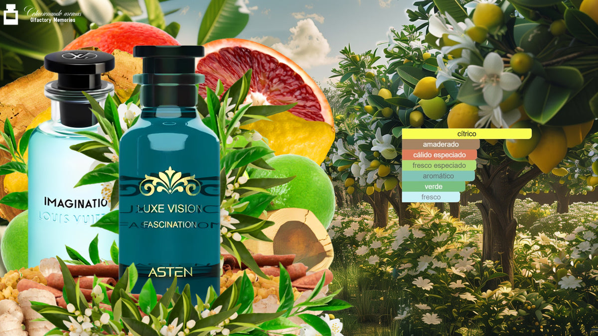 Luxe Vision Fascination Asten – EDP 100ML / HOMBRE – Levurett